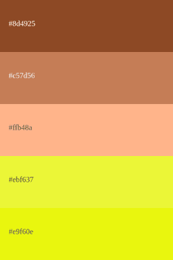 Palette de couleur Marron [codes + combinaisons]