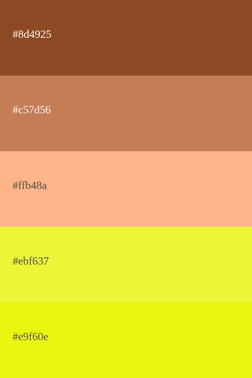 Palette de couleur Marron [codes + combinaisons]