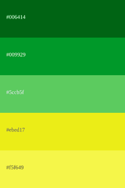 Paleta de cores verde [códigos + combinações]