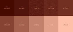Palette de couleur Marron [codes + combinaisons]