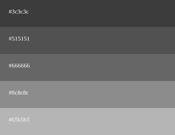 Palette de couleurs grises [Combinaisons + Codes]