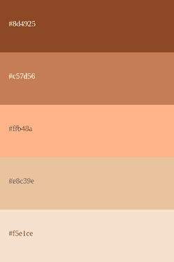 Palette de couleur Marron [codes + combinaisons]