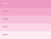 Paleta de cores rosa | [códigos de combinações e imagens]