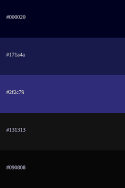 Paleta de color azul marino [códigos y combinaciones]