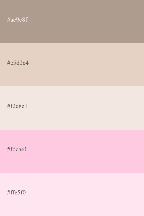 Paleta De Color Nude [códigos Combinaciones]