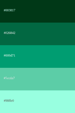 Paleta de cores ESMERALDA [códigos e combinações]