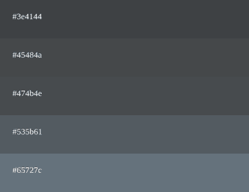 Palette de couleurs grises [Combinaisons + Codes]