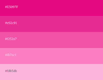 Magenta Color Palette 《+16 Striking Combinations》