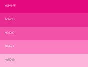 Paleta de cores Magenta 《+16 Combinações Chamativas》