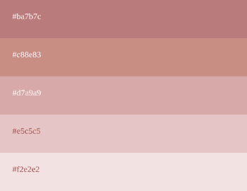 palette de couleur rose [+ Combinaisons et codes]