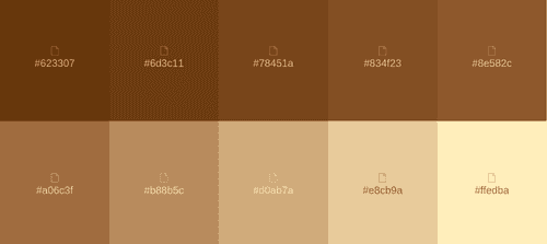Palette de couleur Marron [codes + combinaisons]