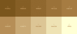 Palette de couleur Marron [codes + combinaisons]