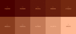 Palette de couleur Marron [codes + combinaisons]