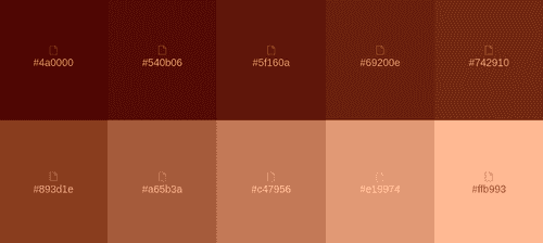 Palette de couleur Marron [codes + combinaisons]